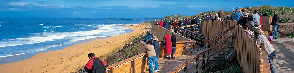 Things to Do and Activities on the Great Ocean Road, Victoria