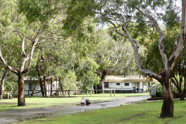 What is there to do in Kennett River?